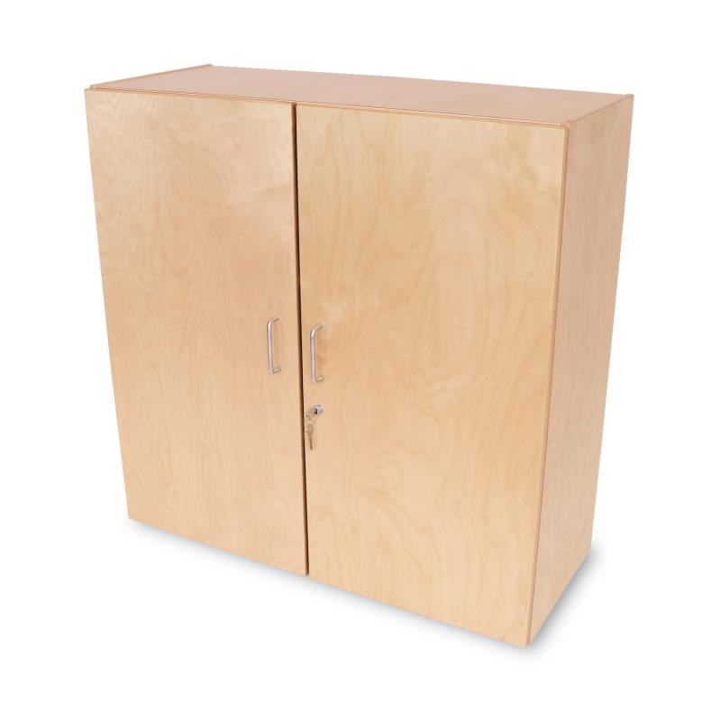 Lockable wall mounted cabinet store